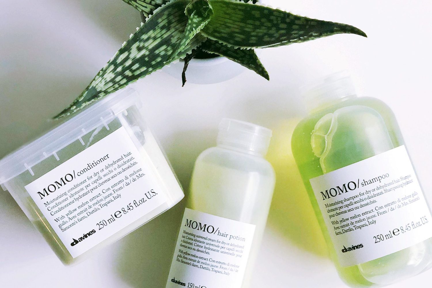 MOMO for Dehydrated Hair | VER salon Eau Claire, Wisconsin